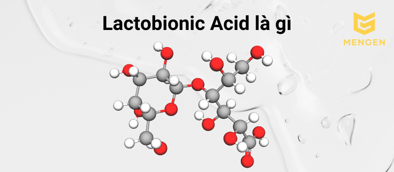 Lactobionic Acid là gì? Có công dụng thế nào trong chăm sóc da - Mengen